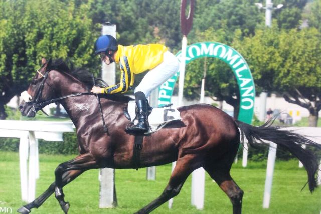 Time Chant, il cavallo vincente tenta il bis al Carlo D'Alessio ...
